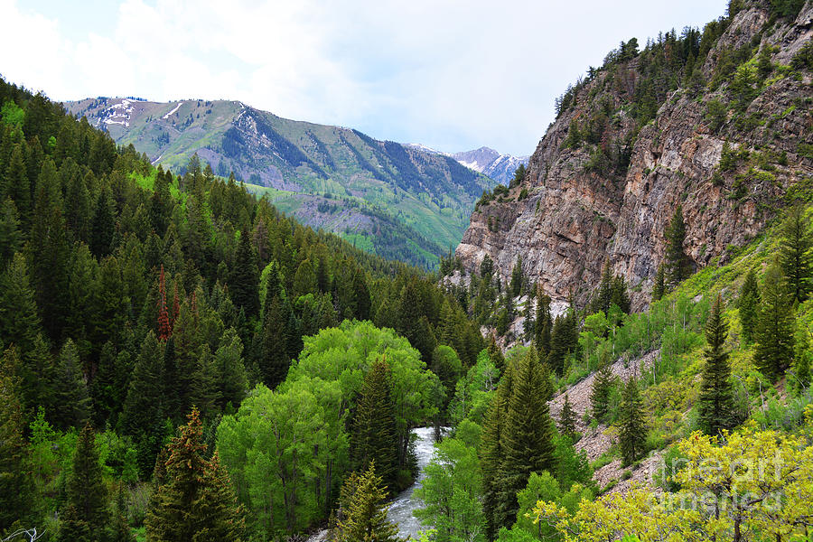 The Crystal River Photograph by Kate Avery - Pixels