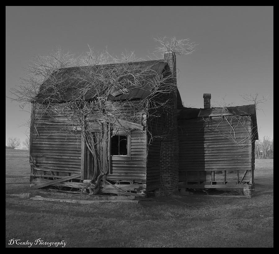 The Devine House Photograph by Darrell Conley | Fine Art America