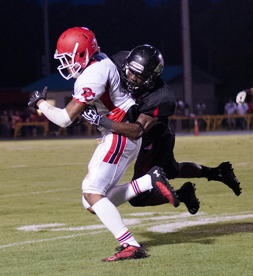 The Dive Photograph by Thomas Ricks - Fine Art America