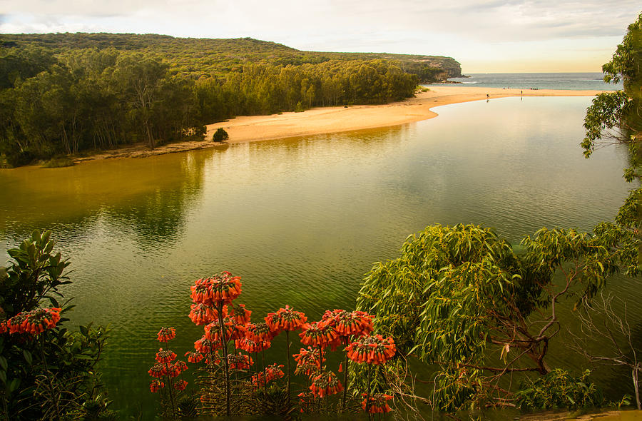 The Estuary Photograph by Terry Everson