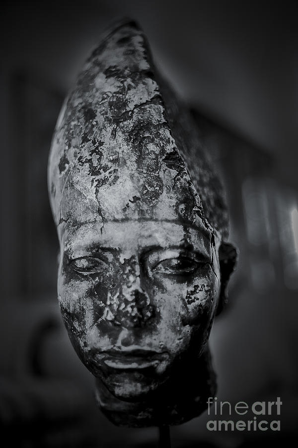 The Face Photograph by Greg Sampson - Fine Art America