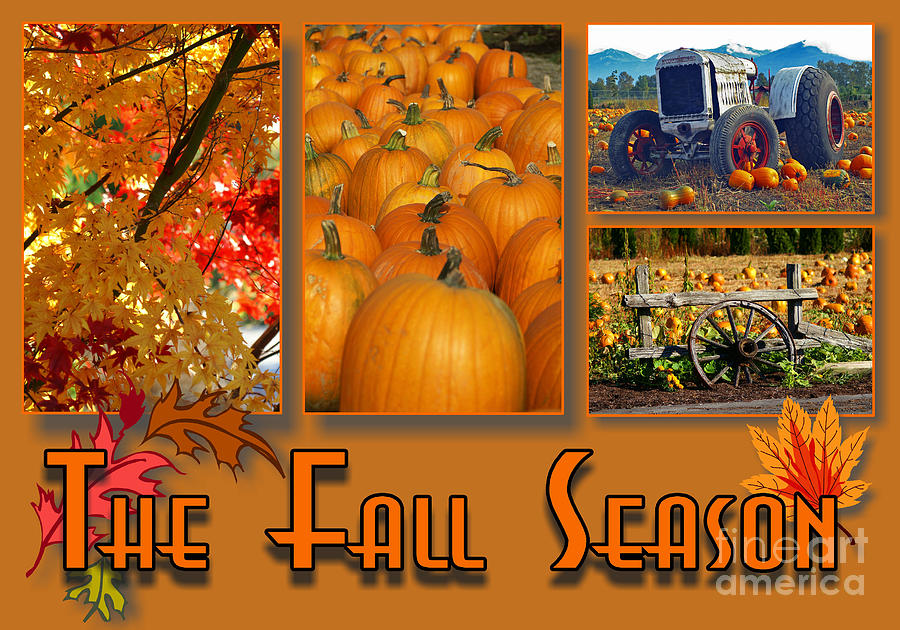 The Fall Season Photograph by Randy Harris - Fine Art America