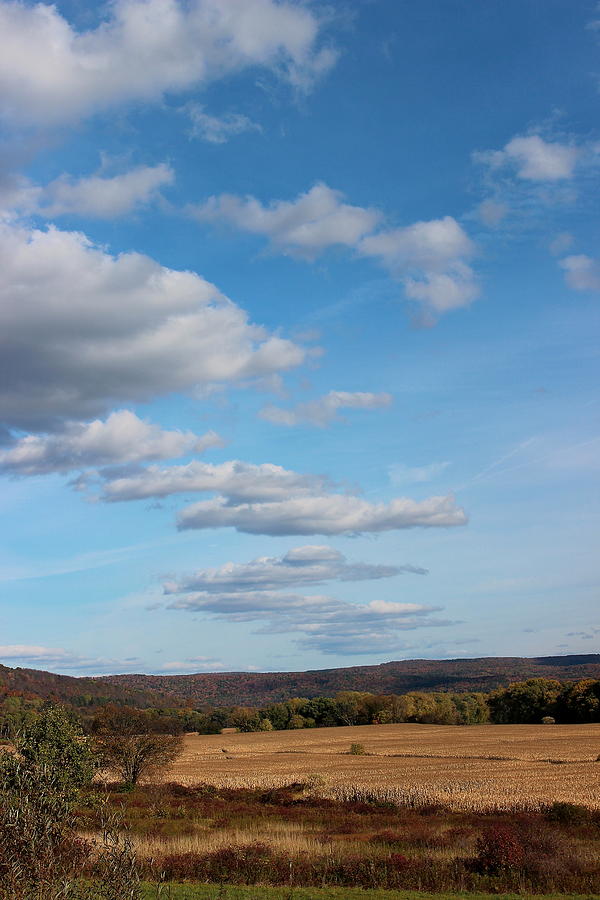 The Fields Are Ripe For Harvest Photograph by Brian Lucia - Fine Art ...