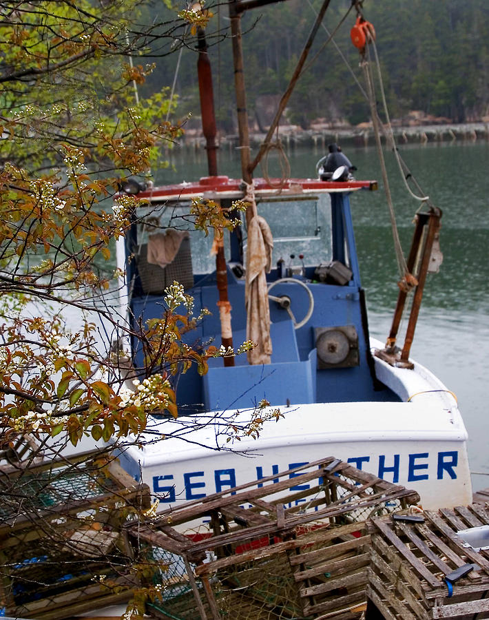 The Final Pull Photograph by Don Powers