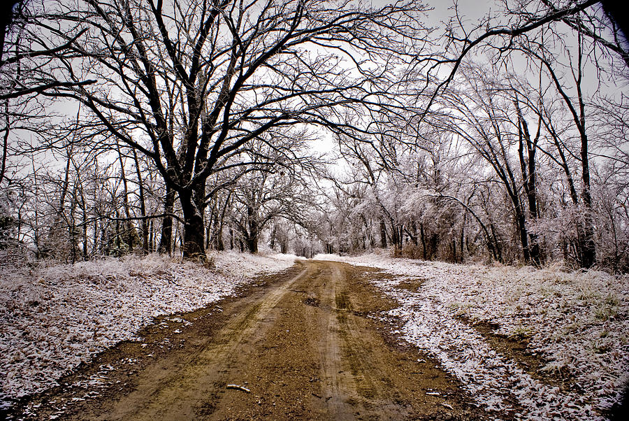 The Frozen Path Photograph by Nick Hartman - Fine Art America