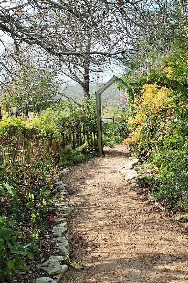 The Garden Path Photograph by Pretty Lilly Photography - Fine Art America