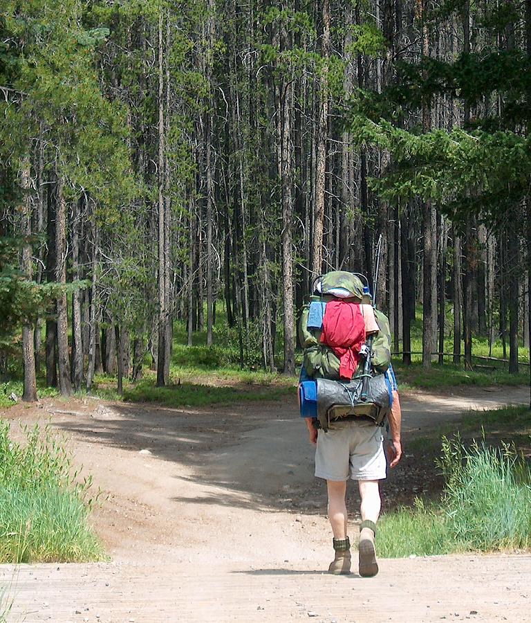 The Long Walk Back Photograph by Mark Eisenbeil - Pixels