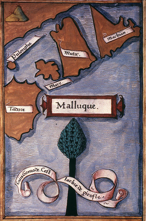 The Moluccas Painting by Granger - Pixels