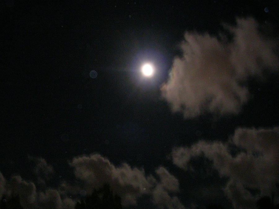 The Moon Light Photograph by Uma Swaminathan - Fine Art America