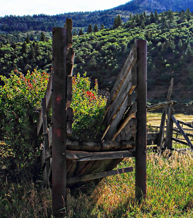 The Old Loading Chute Photograph by Ron Latimer - Fine Art America