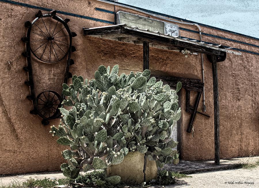 The Old Mill Photograph by Tabitha Williams - Pixels
