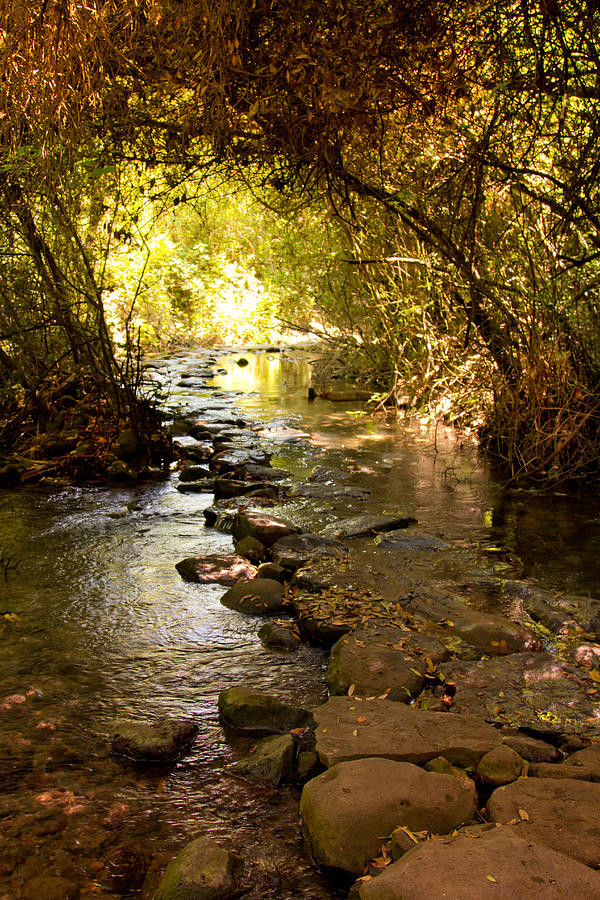 The Path Photograph by Nadya Ost - Pixels