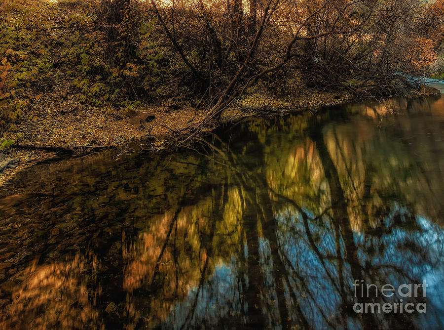 The River of Reflection Photograph by Mitch Johanson - Fine Art America