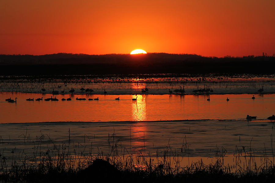The Setting Sun Photograph by Jessica Bragg - Fine Art America