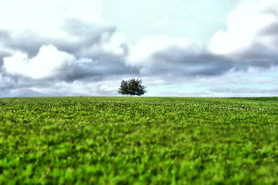The Single Tree and a Cloudy Sky Photograph by Anthony Ackerman | Fine ...