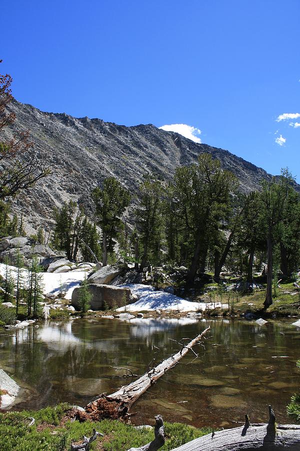 The Still Pool Photograph by Mark Eisenbeil - Fine Art America