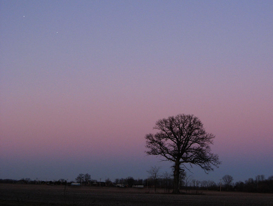 The tree at twilight Photograph by Mr Other Me Photography DanMcCafferty