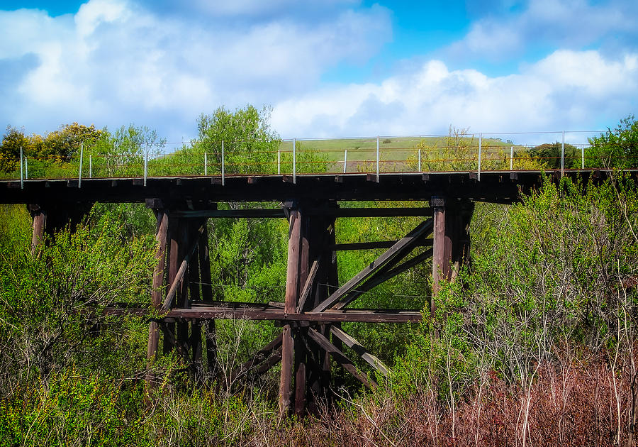 The Trestle Photograph by Rick Nettles | Pixels