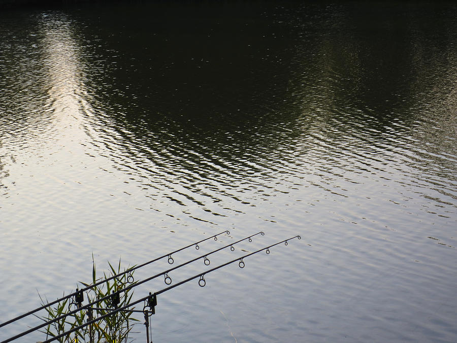 The waiting game Photograph by David Pyatt - Fine Art America