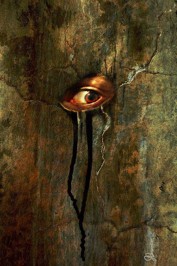 The Watcher Digital Art by Jonathan Parsons - Pixels