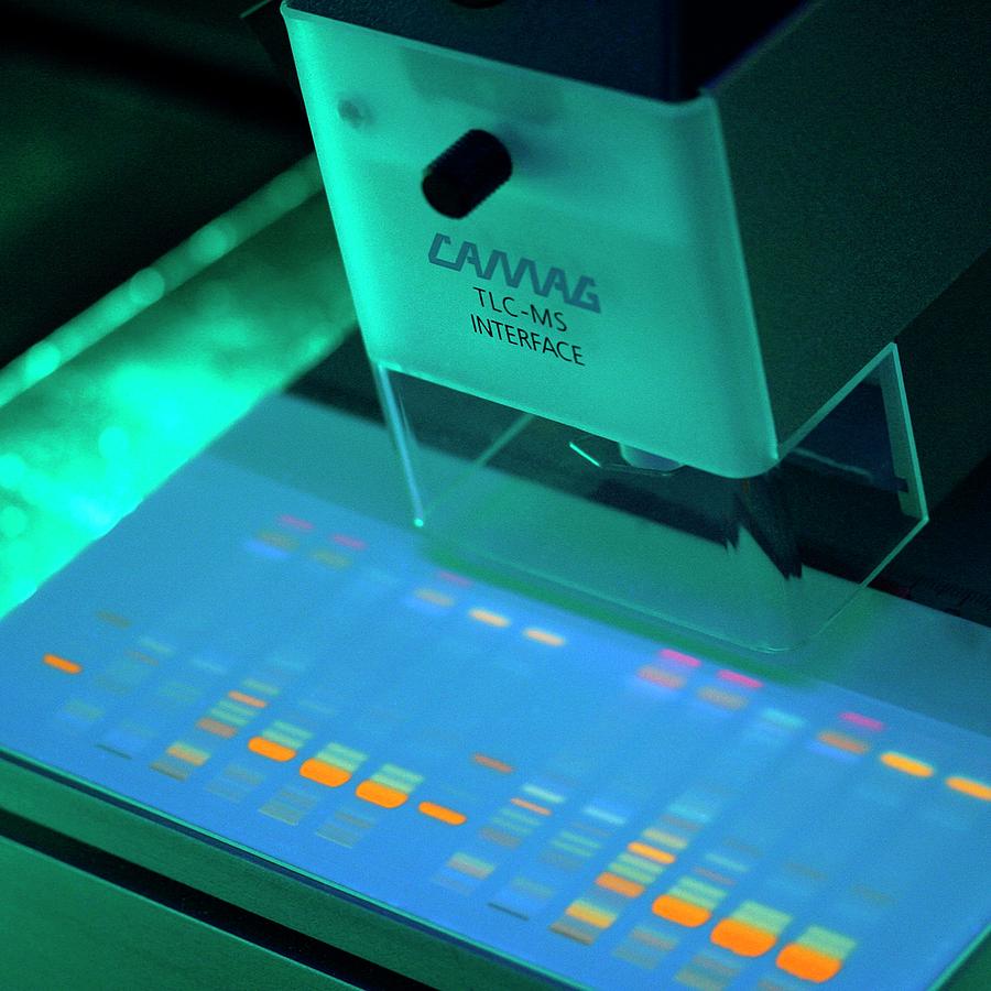 Thin-layer Chromatography Photograph by Ornl/science Photo Library ...