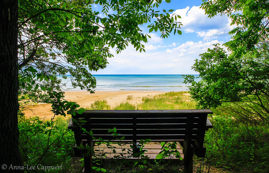 Thinking Spot Photograph by Anna-Lee Cappaert - Fine Art America