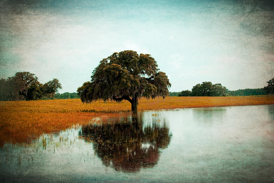 Thoughtful Reflection Photograph by Beverly Stapleton | Fine Art America