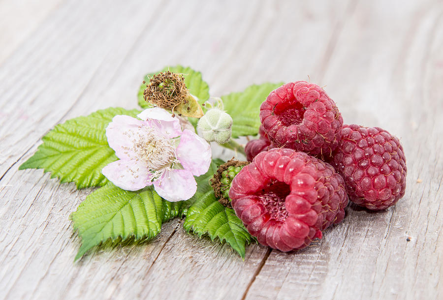 Three Raspberries with leaves Photograph by Handmade Pictures - Fine ...