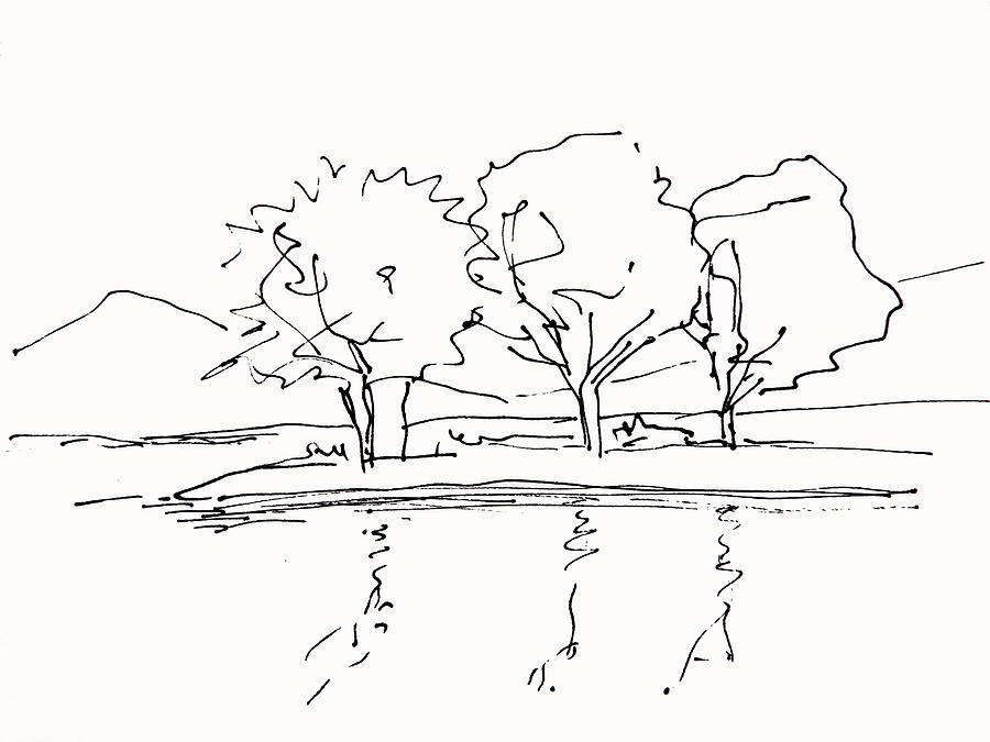 Three Trees Drawing by Karin Stein - Fine Art America
