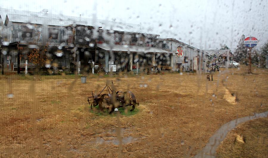 Through a Torn Screen Photograph by Suzanne McClain - Fine Art America