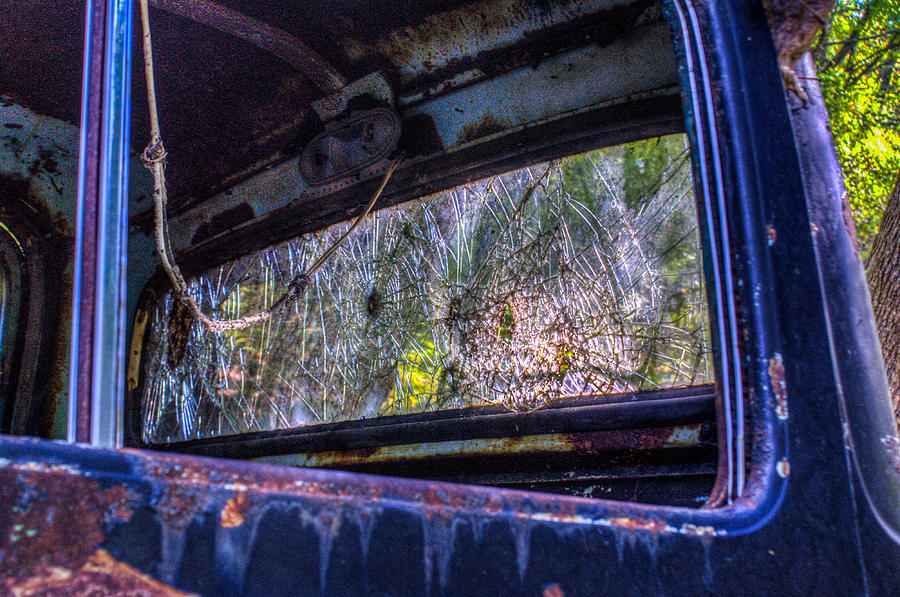 Through the Window the Spider Passed Photograph by Douglas Barnett ...