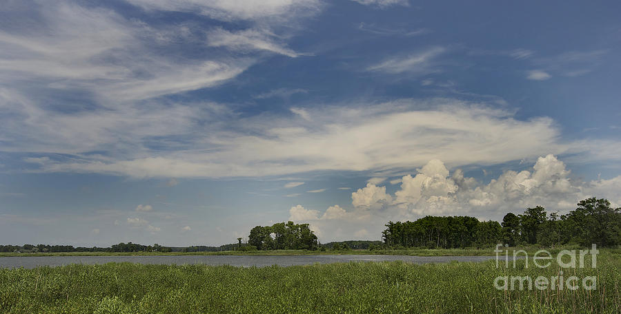 Tidal Marsh Photograph by Skip Willits | Fine Art America
