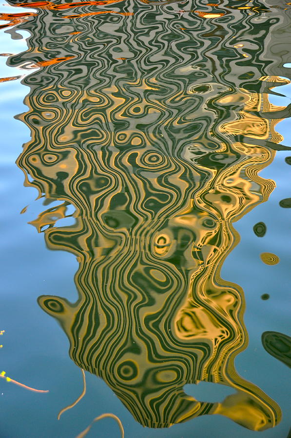 Tiger Photograph by David Flitman - Pixels