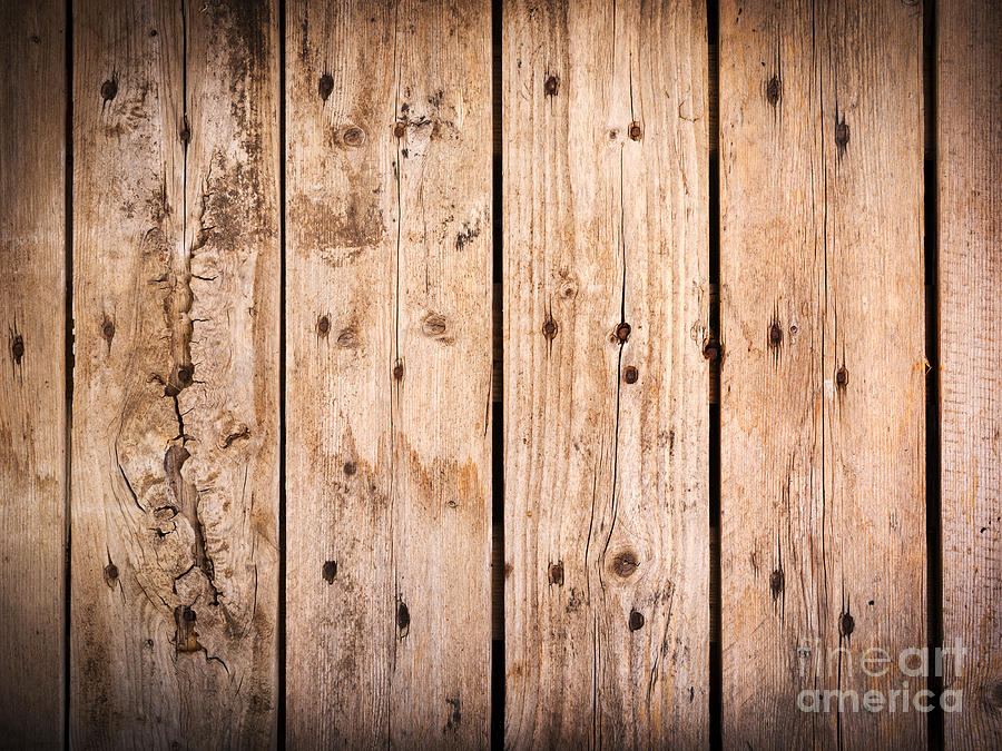 Timber Background Photograph by THP Creative - Fine Art America