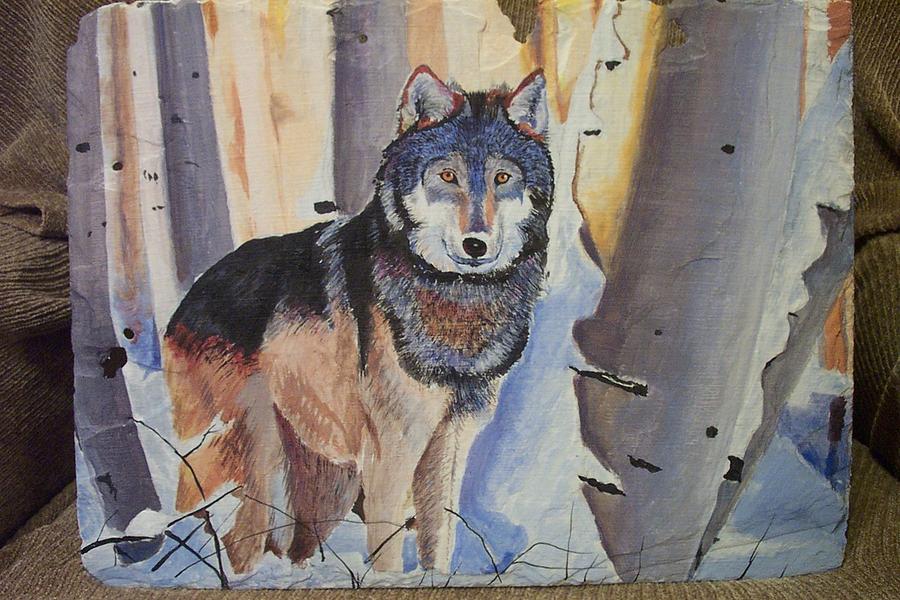 Timber Wolf Painting by Joel Phillips - Fine Art America
