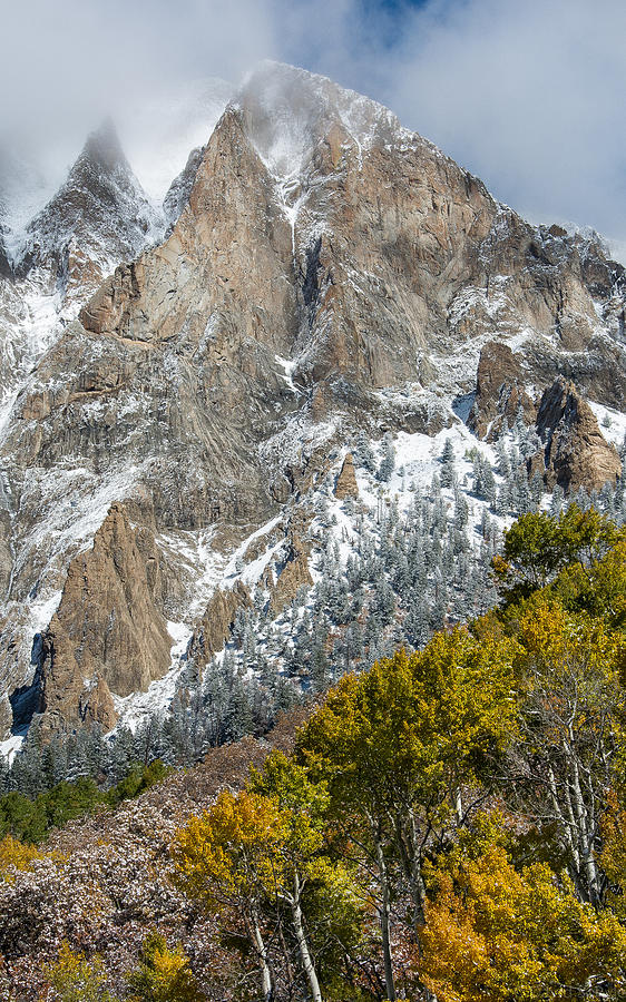 Timberline Photograph by David Pyle | Fine Art America