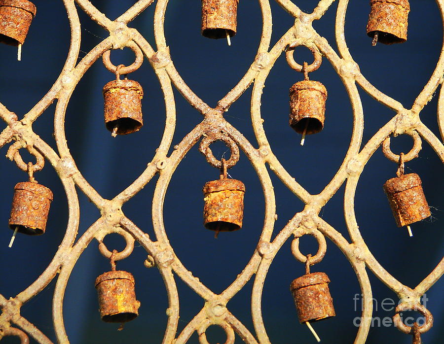 Tinkle Bells Photograph by Lew Davis - Fine Art America