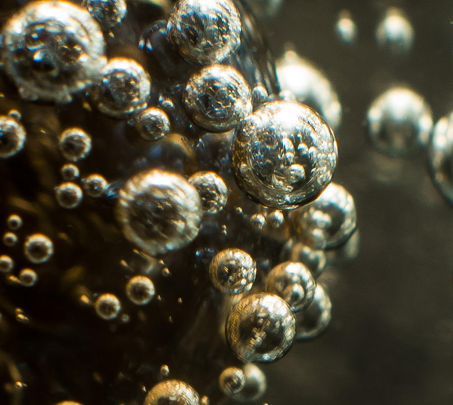 Tiny bubs 4 Photograph by Dan Marasco - Fine Art America