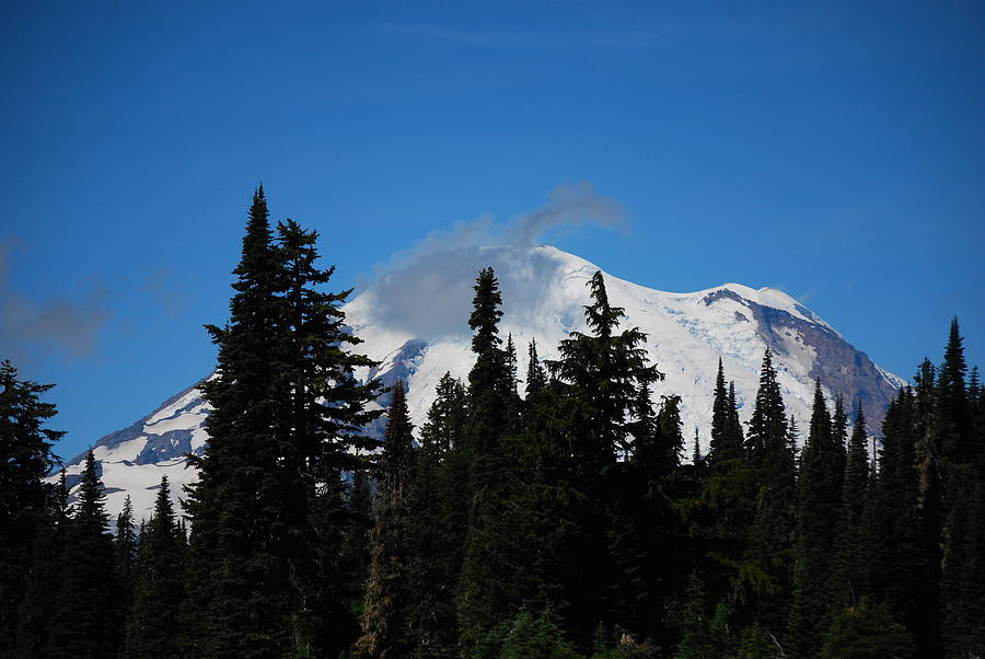 Tip Top Photograph by Hailey Bates - Fine Art America