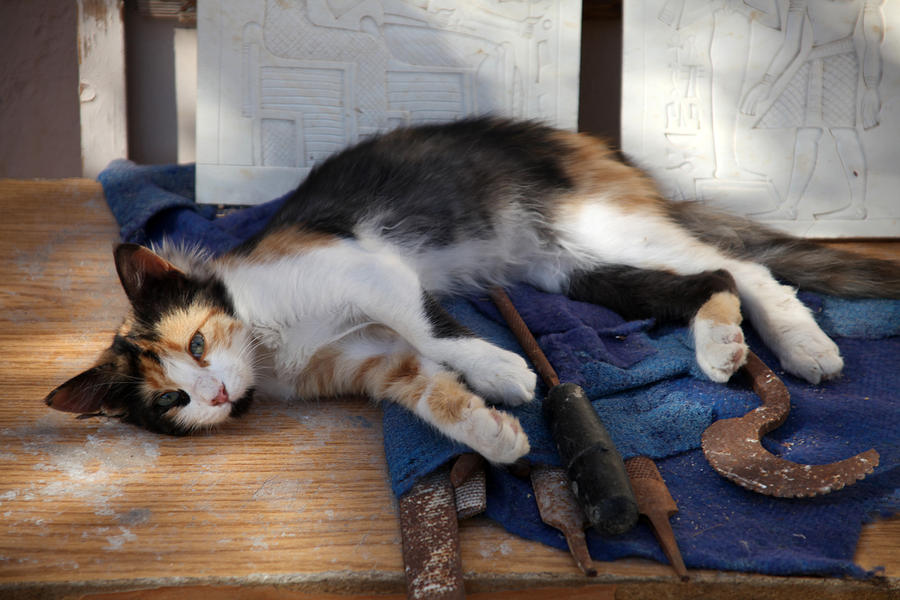 Tools Down Photograph by Jez C Self | Fine Art America