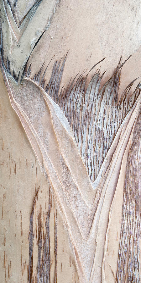 Torchiere Photograph by Nancy Roux - Fine Art America