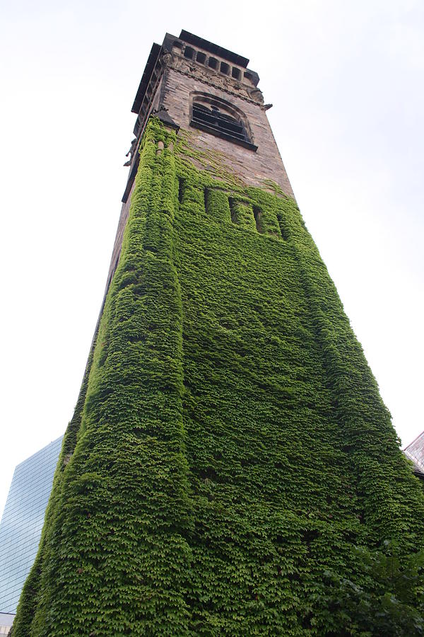 Tower 2 Photograph by Robert Daffin | Fine Art America