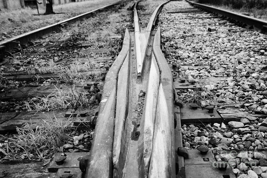 train line switch junction split Saskatchewan Canada Photograph by Joe ...