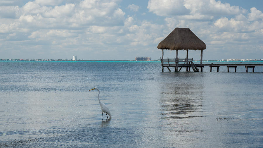 Tranquility Photograph by Denny Beck - Fine Art America