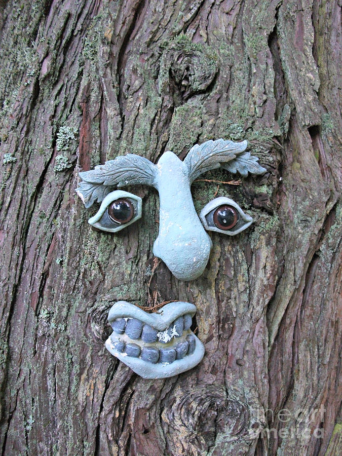 Tree Face Photograph by Mindy Bench - Pixels