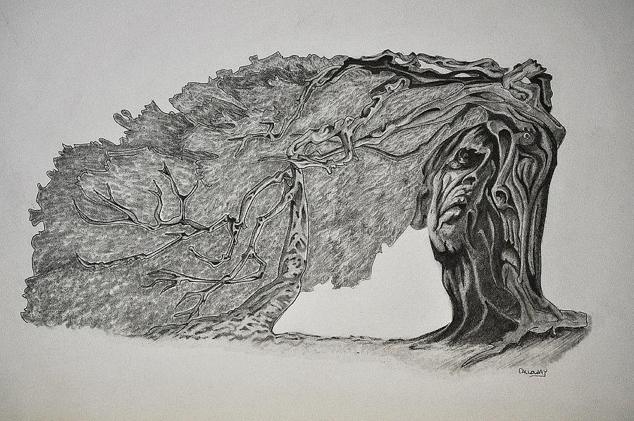 Tree with Faces Drawing by Glenn Calloway