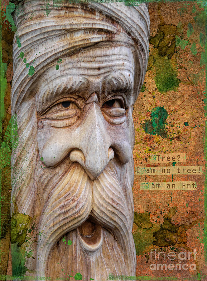 Treebeard Of The Home