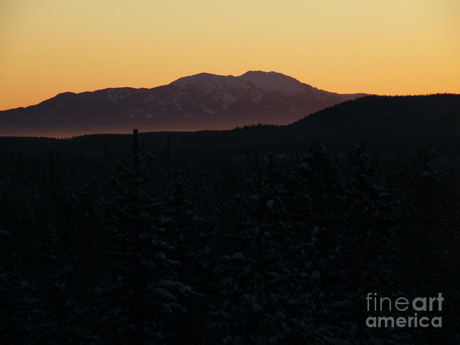 Treeline Photograph by Brian Boyle - Fine Art America