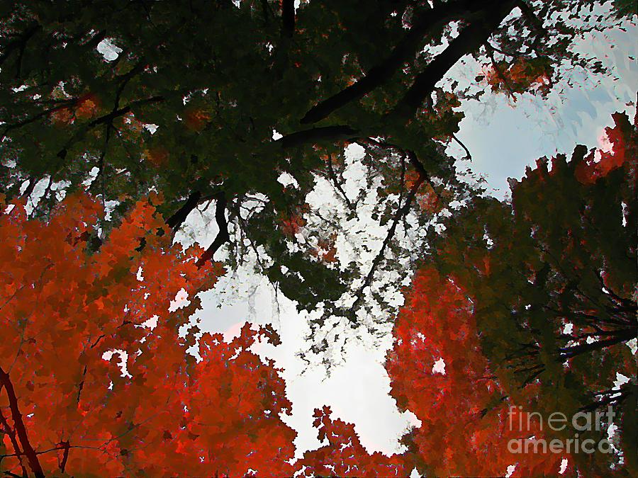 Trees Dancing Digital Art by Anne Sterling - Fine Art America