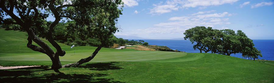 Trees On A Golf Course, The Manele Golf Photograph by Panoramic Images ...